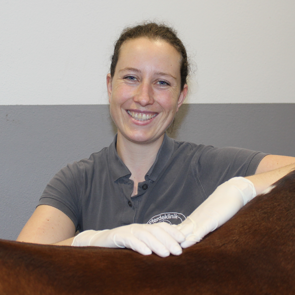 Team | Pferdeklinik Tappendorf