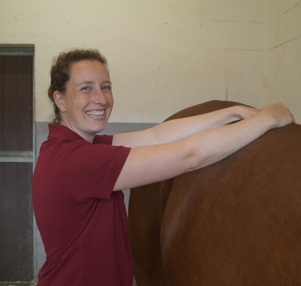 Team | Pferdeklinik Tappendorf