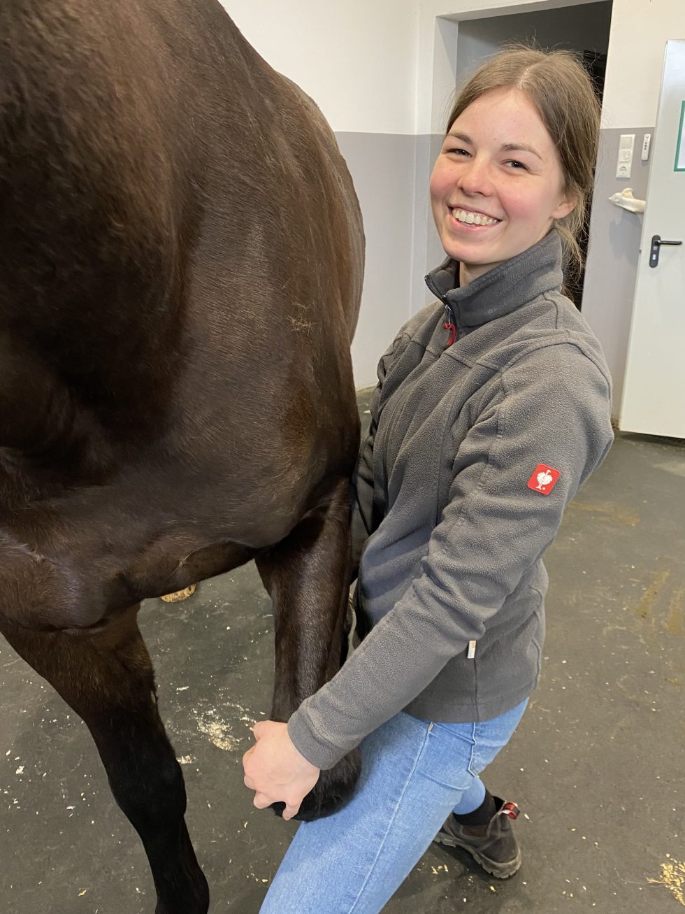 Zuwachs im Osteopathen-Team | Pferdeklinik Tappendorf
